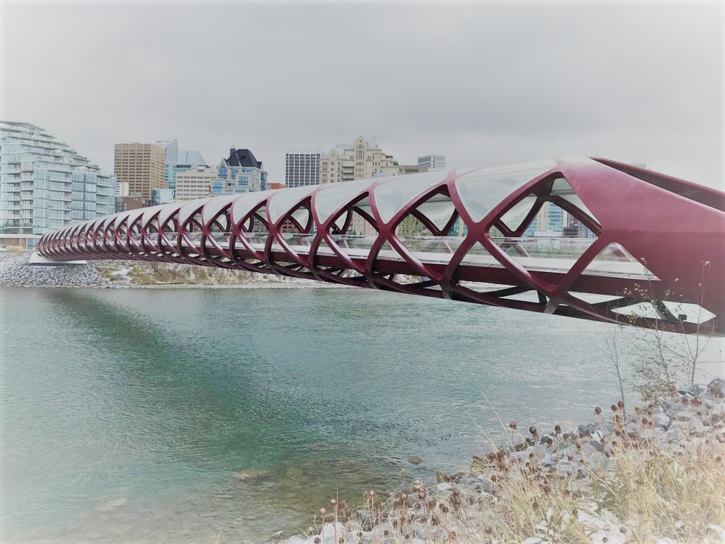 Expat stories – Cape Town to Calgary