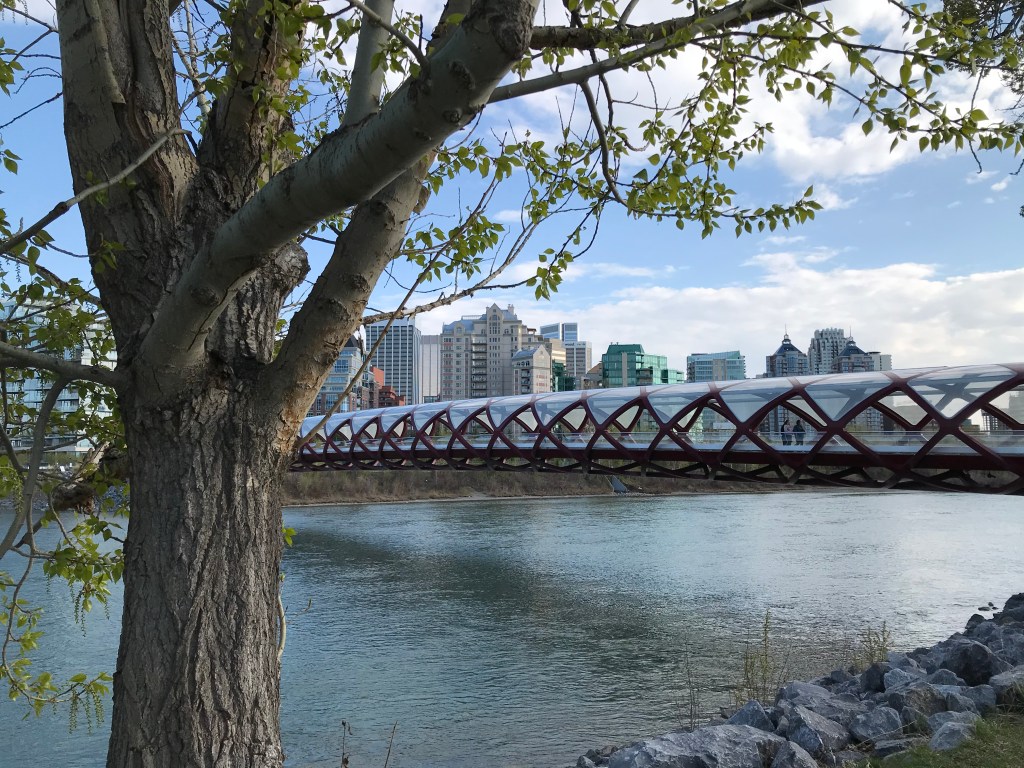 The Beautiful Peace Bridge – Cape Town to Calgary